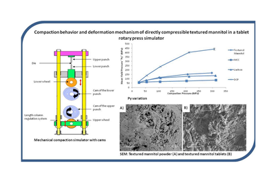 Compaction behavior and deformation mechanism of directly compressible ...