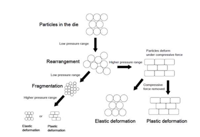 Dry granulation using roll compaction process : powder characterization ...