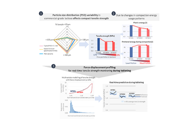 Effect of excipient particle size distribution variability on compact ...