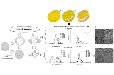 Insight into tableted pellets by combining X-ray micro-computed ...