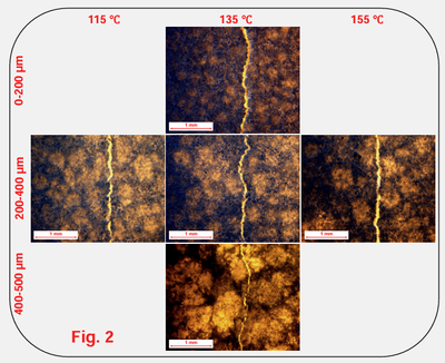 Mechanical properties of tablets: direct compression vs. twin-screw ...