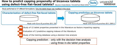 On the complexity of predicting tablet capping | _tableting technology