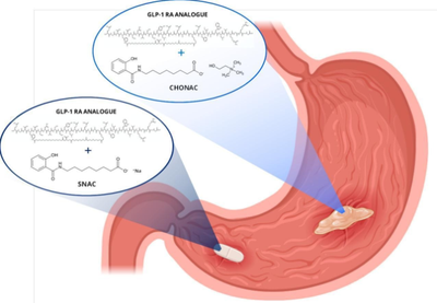 Salcaprozate-based ionic liquids for GLP-1 gastric delivery: A ...