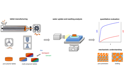 Tablet formulation development focusing on the functional behaviour of ...