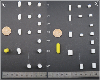 pTab – A personalized bilayer tablet | _tableting technology